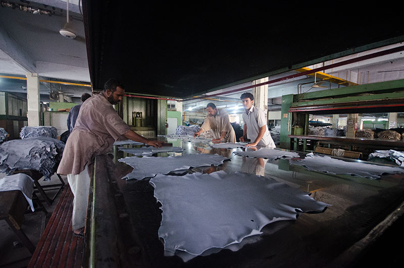 TANNERY SETUP DATA FILES – FAMILY LEATHER GARMENTS