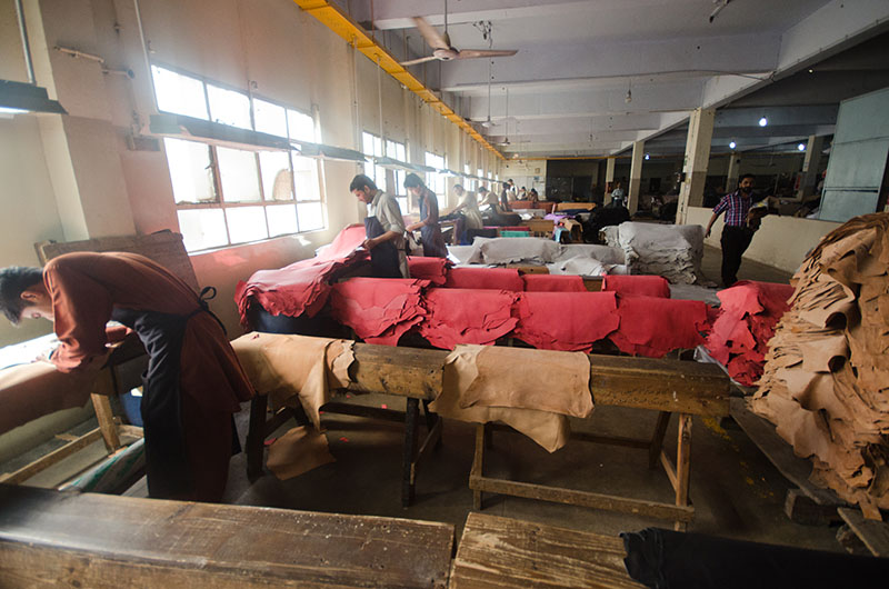 TANNERY SETUP DATA FILES – FAMILY LEATHER GARMENTS